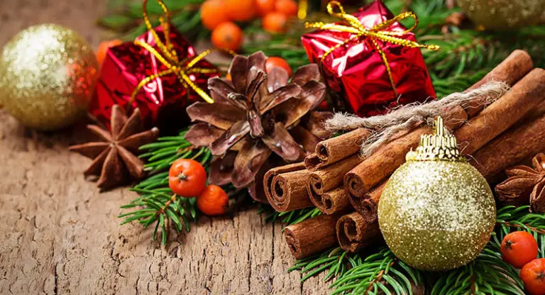 Best Christmas Spices That Flavor the Exciting Seasonal Relishes